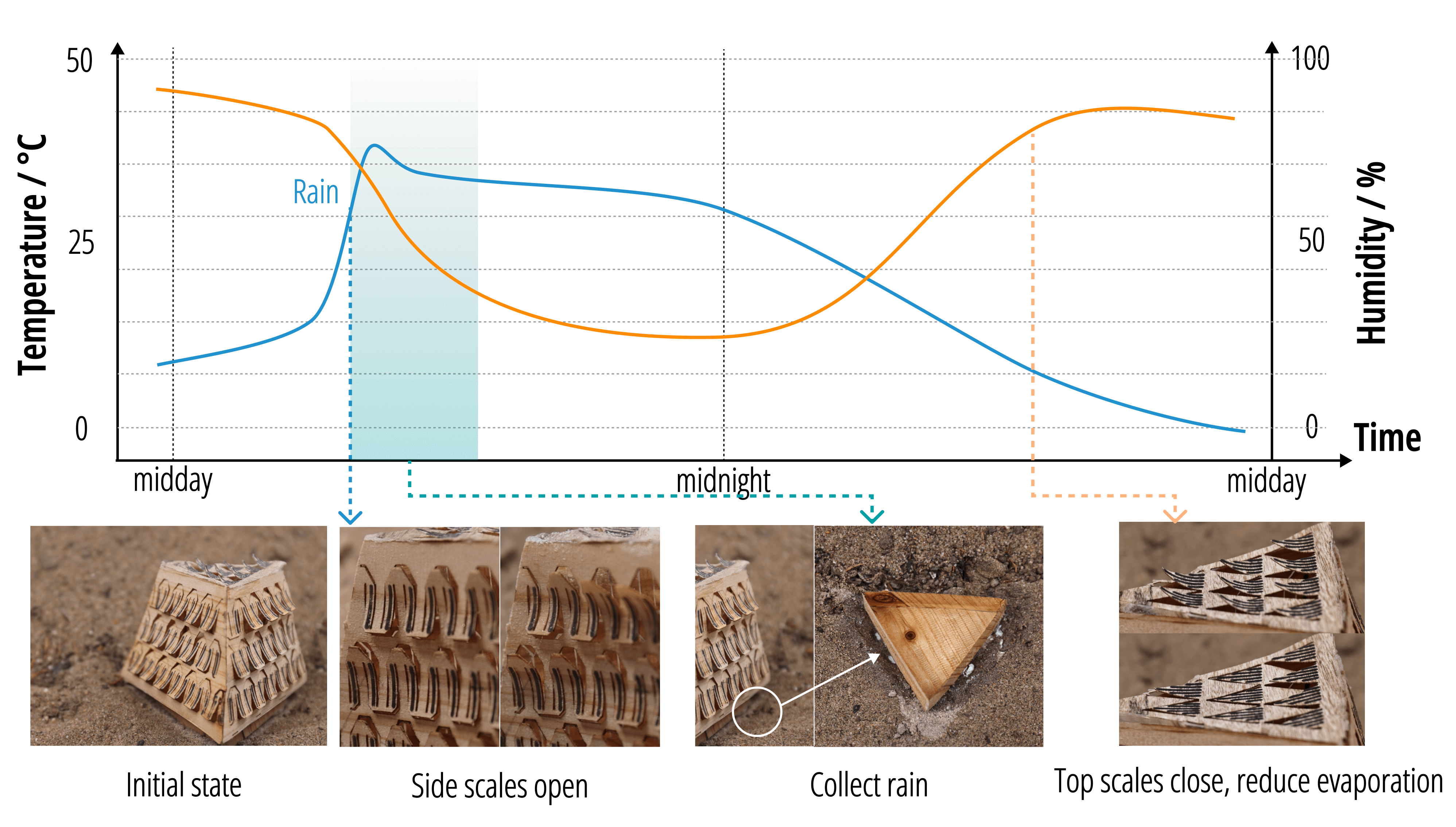 Habitat Construction